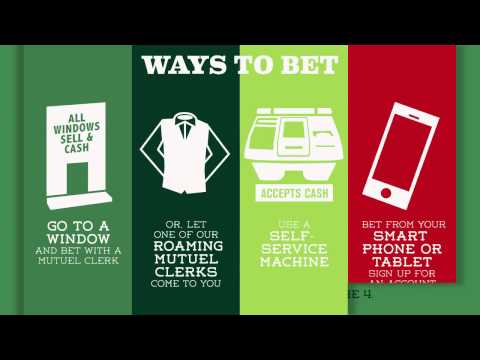 Basics of BETology - How to Place a Bet