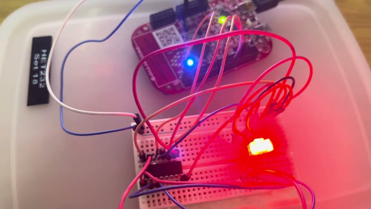 EEE20003 Embedded Microcontroller TASK 1 PASS TASK 1