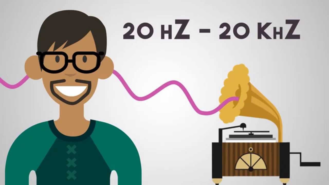 Physics - Sound Waves