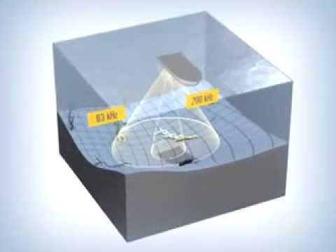What is Sonar Humminbird