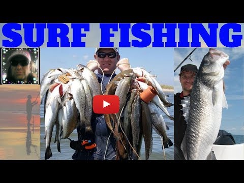 SURF FISHING ( SURF FISHING TIPS )