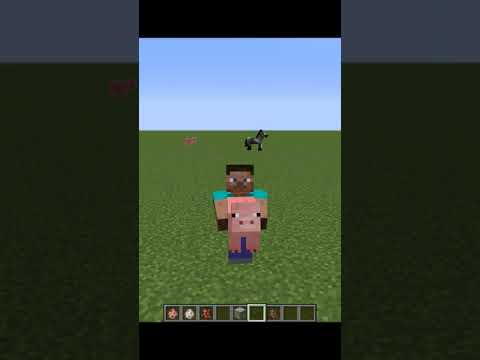 【Minecraft MOD】Carry On MOD