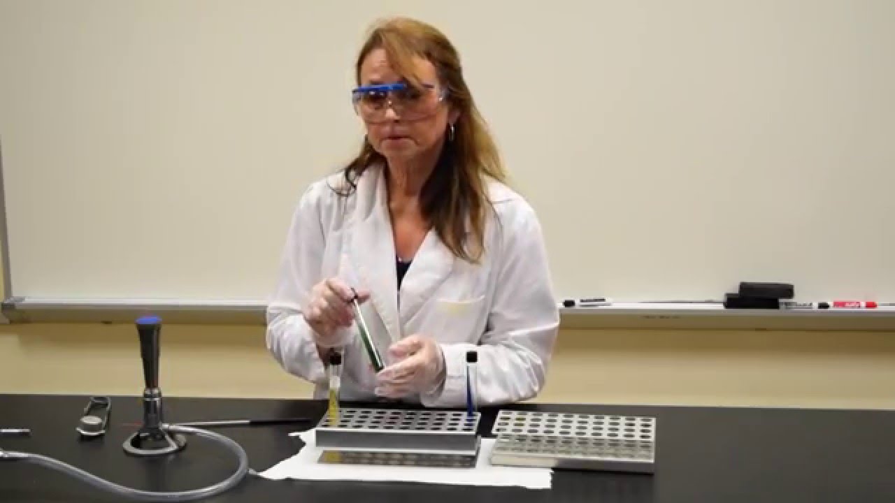 How to Inoculate & Interpret a Simmons Citrate Slant - MCCC Microbiology