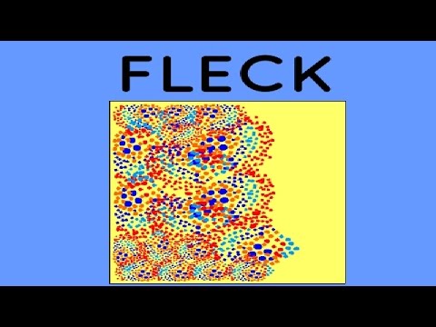 fleck