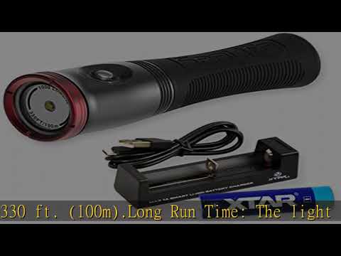 SeaLife Sea Dragon Mini 1000F Power Kit with SD Mini 1000F Light, Lanyard with BC Clip, 2600mAh Bat