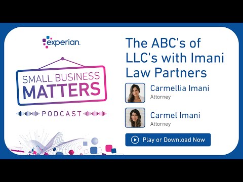The ABC's of LLC's with Imani Law - Small Business Matters Podcast
