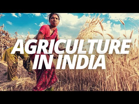 PSA #5 | Agriculture in India needs a Revolution