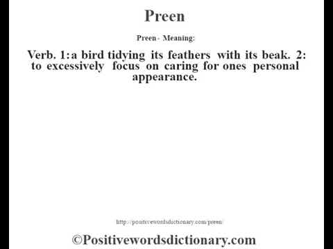 Preen definition | Preen meaning