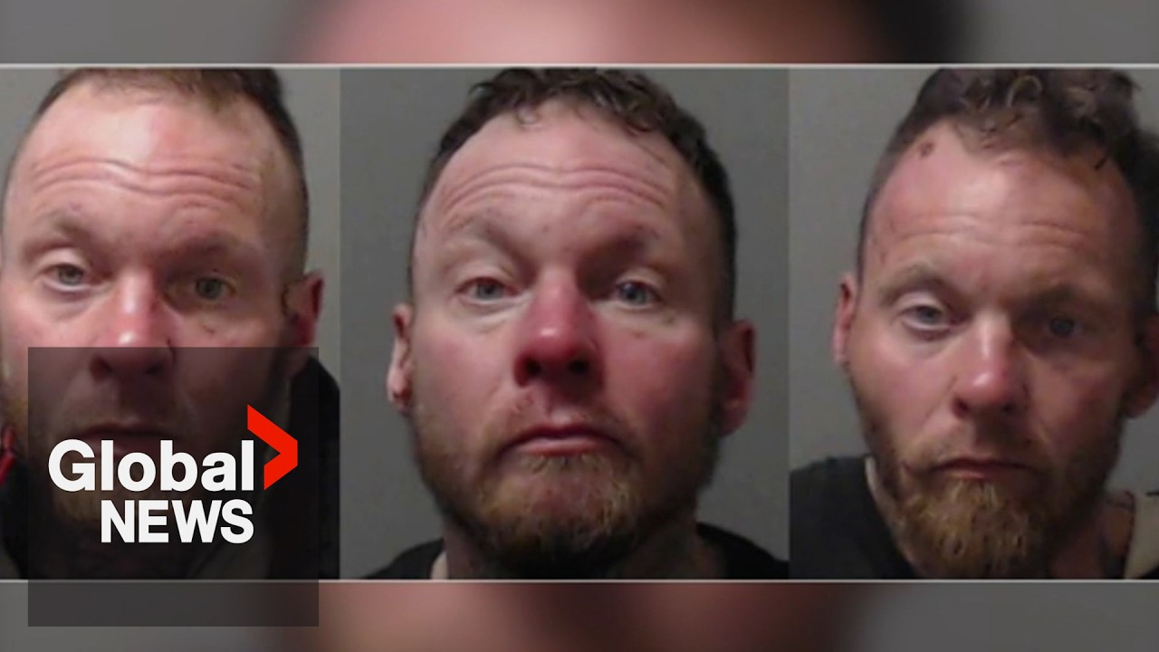 “Poster boy of catch-and-release”: BC reoffender with more than 400 files released on bail