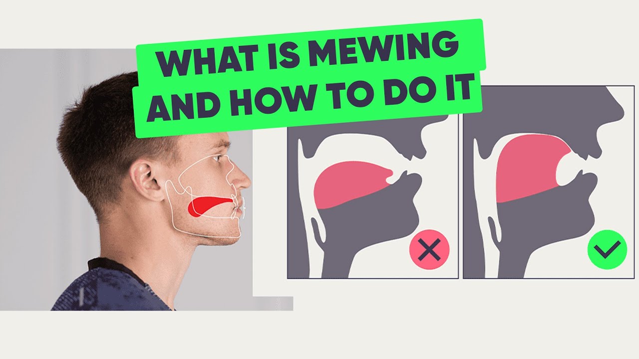 The Only Mewing Guide You'll Ever Need