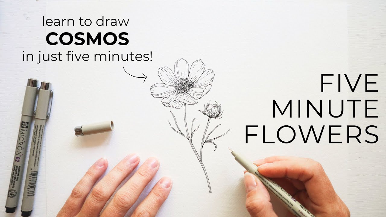 Five Minute Flowers ✿ How to Draw Cosmos | Learn to draw flowers!