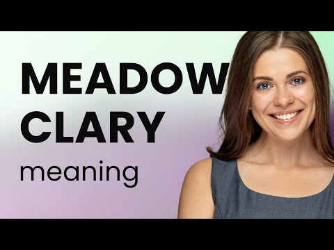 Meadow clary | definition of MEADOW CLARY