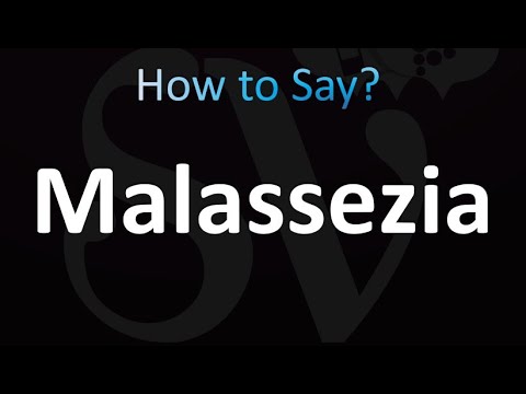 How to Pronounce Malassezia (Correctly!)