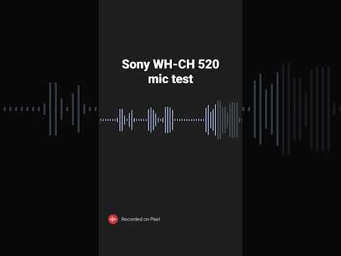 Sony WH-CH520 mic test