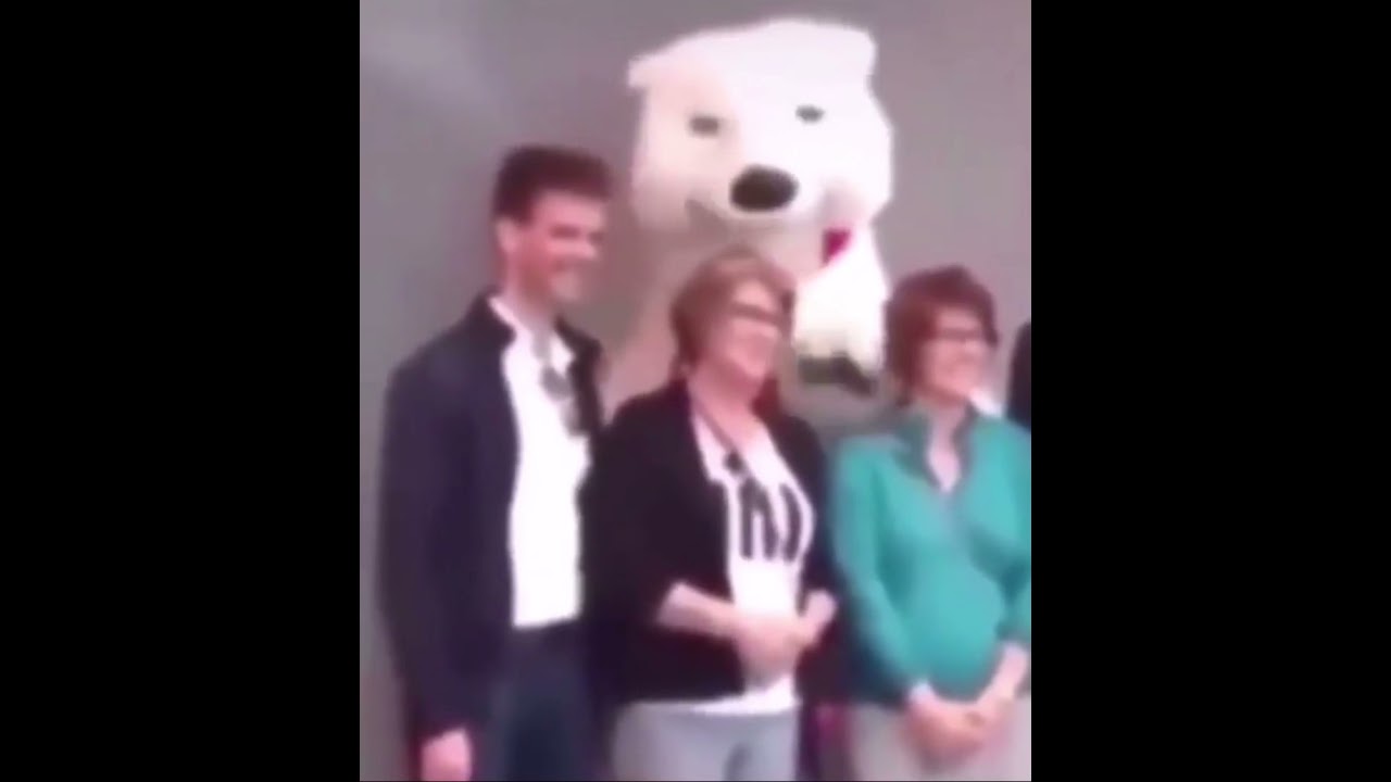 Polar bear sniff
