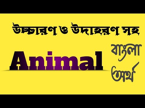 Word Meaning of Animal । Animal এর বাংলা অর্থ @bangladictionary