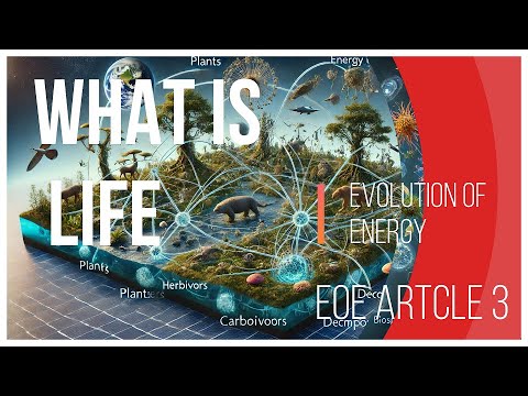 Keep learning for better future | WHAT IS LIFE | EOE Article-3