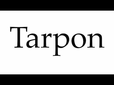 How to Pronounce Tarpon