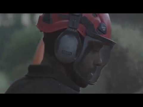Thors Trees - What its like being an Arborist