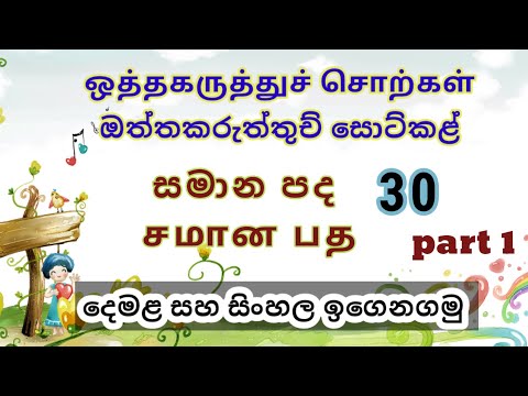 Similar words in tamil and sinhala | සමාන පද දෙමළෙන් ඉගෙනගමු | ஒத்தகருத்துச் சொற்கள் | sinhala|tamil