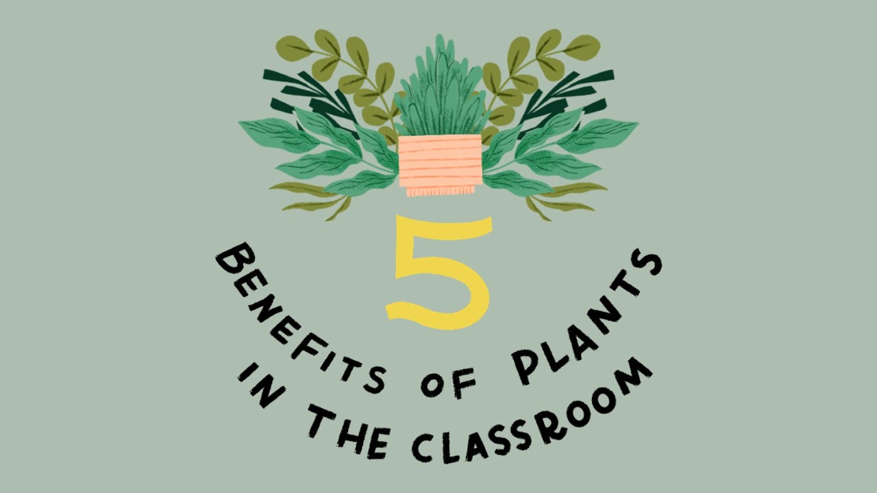 5 Reasons to Bring Plants Into the Classroom | Edutopia