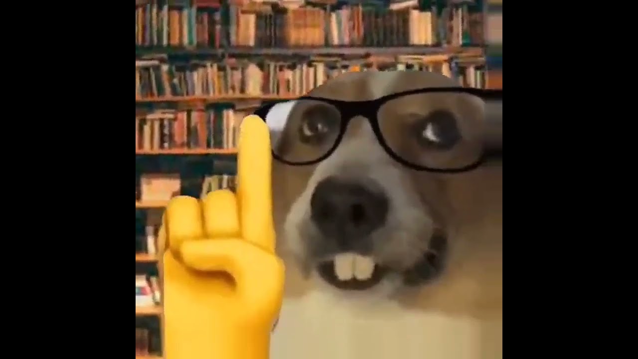 nerd dog meme 1 hour