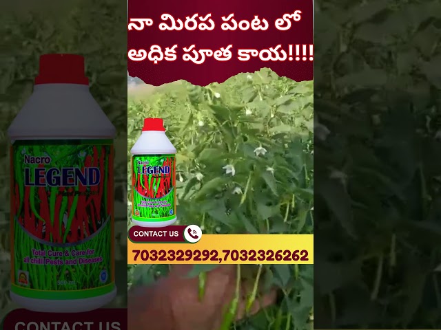 Agricultural Fertilizers - Nacro Legend Plant Protector Manufacturer ...