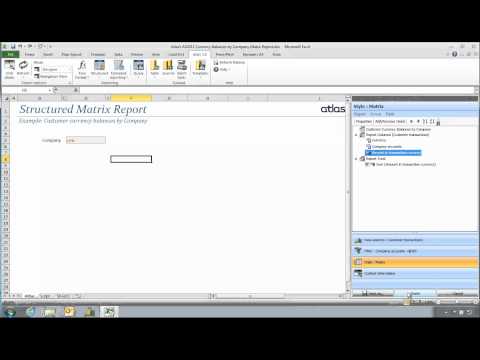 Atlas Matrix Reporting - Currency Balances by Company