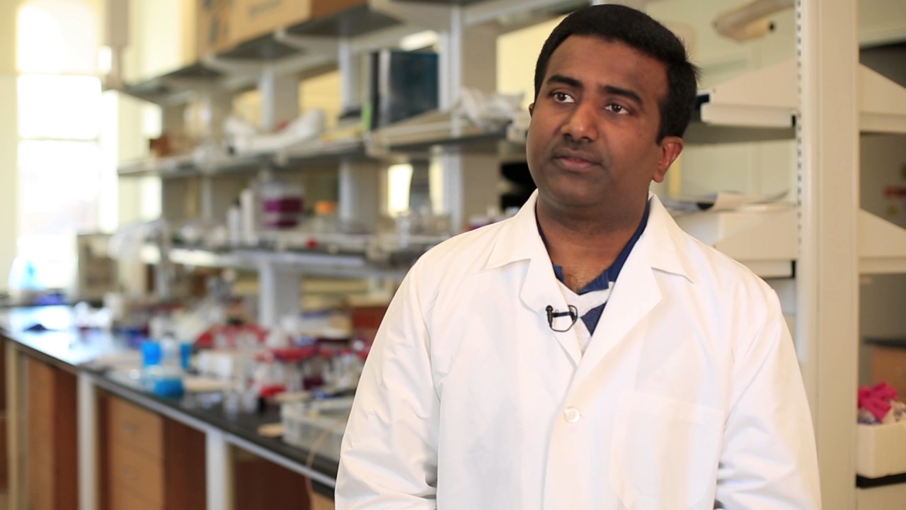 Testing at any temperature | Inside the Research | Washington University