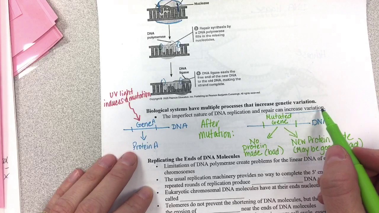 Chapter 13 Part 2