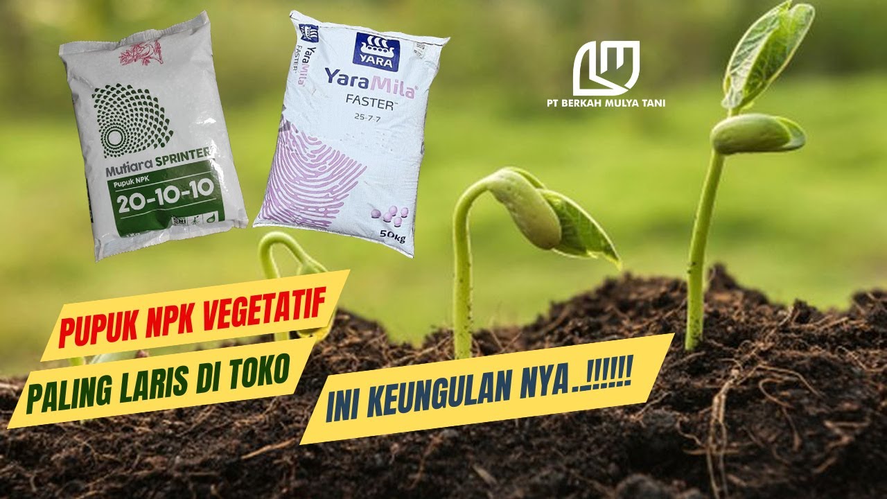 Early Plant Growth Stimulating Fertilizer NPK Mutiara Sprinter 20 10 10 Vs Yaramila Faster 25 7 7