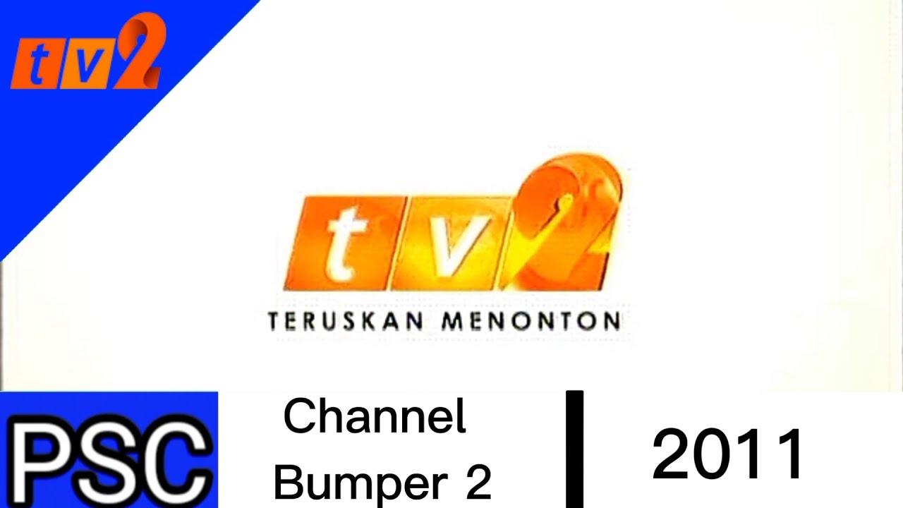Channel Bumper 2 (2011): RTM TV2