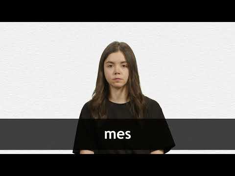 English Translation of “MES” | Collins Spanish-English Dictionary