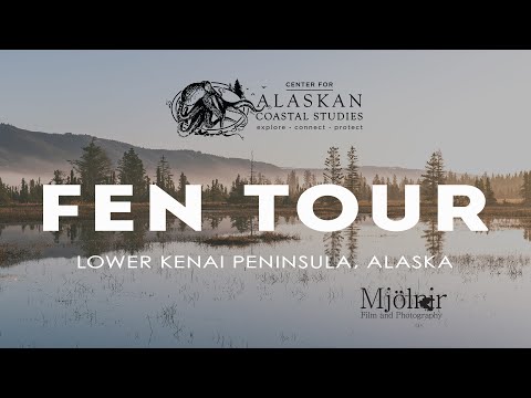 Fen