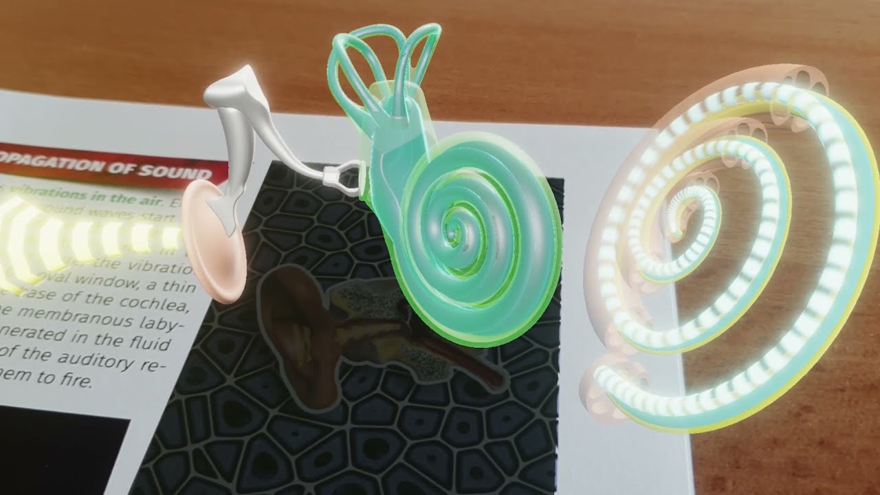 The human body - AR Books LibrARy demo