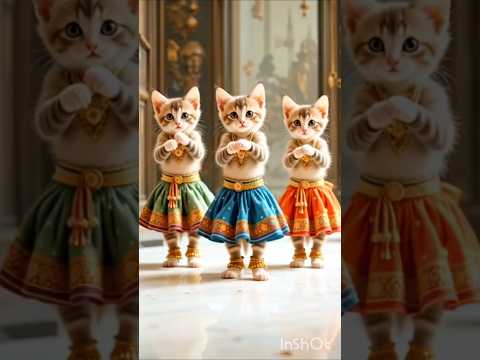 बिल्ली डांस | Cutest Cat videos funny dance🤣💃Videos for cats #funny #dancingcat #cat @Meow_cat99