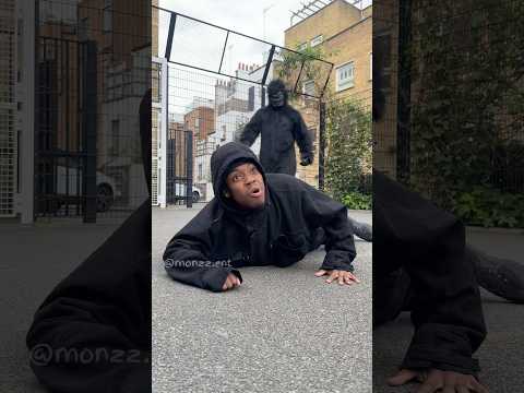 100 men vs 1 Gorilla skit - #monkweh #gorillatag #gorilla #funny #monzzent