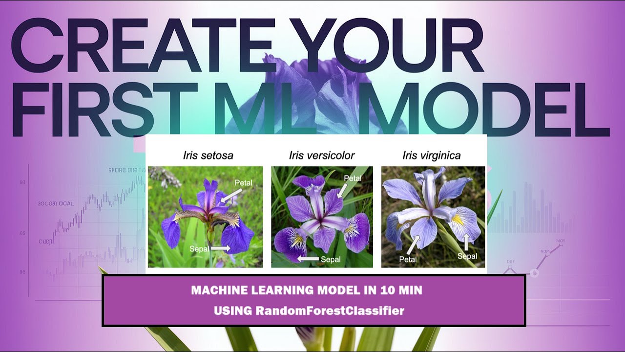 Iris Flower Classification with Machine learning | Beginner Python (step-by-step Tutorial)
