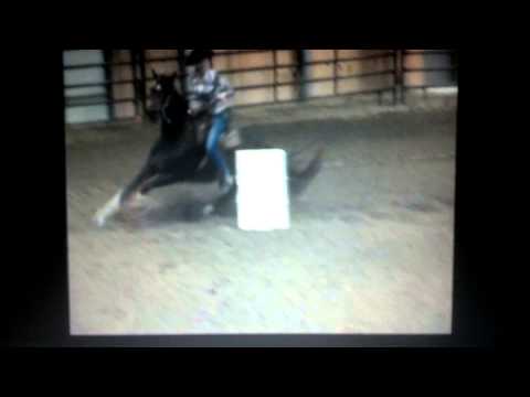 Eyema Rare Bug -TS productions barrel race