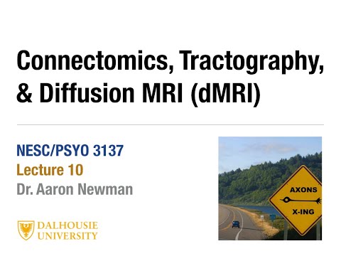 Lecture 10 - Connectomics and DTI