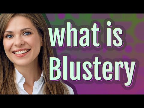Blustery | meaning of Blustery