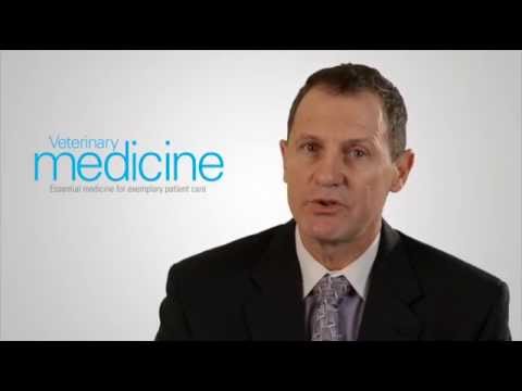 Dermatology update: Atopic dermatitis