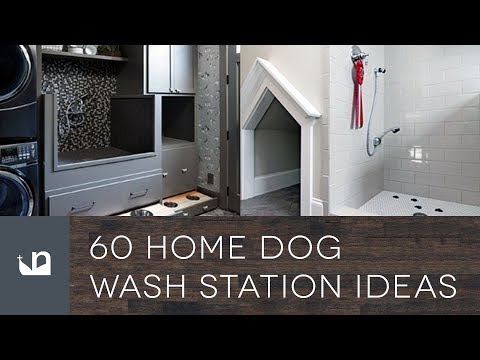 60 Home Dog Wash Station Ideas