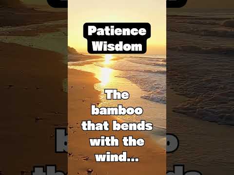 The bamboo that bends with the wind… #motivation #traditional #quotes #motivational #culture #shorts