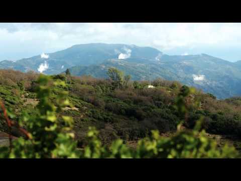 Cellar Angels Interviews Winemaker Leslie Sisneros of Ispiri Wines