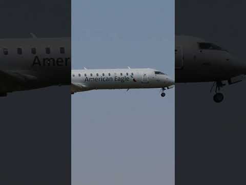 PSA Airlines/American Eagle CRJ arriving at St Louis - STL #shorts #aviation #aircraft #planes