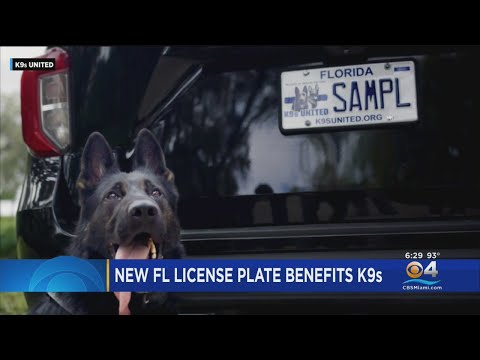 New Florida license plates benefit K9's