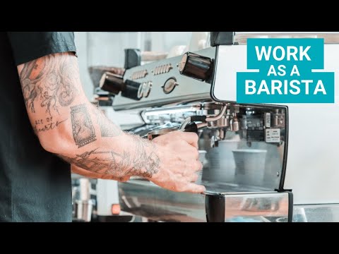 Barista Job Hunting Tips: From Zero Experience to Hired!
