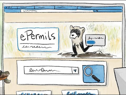 How to Apply for a Permit
