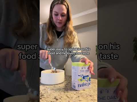 3 EASY Ways to Improve Your Dogs Life